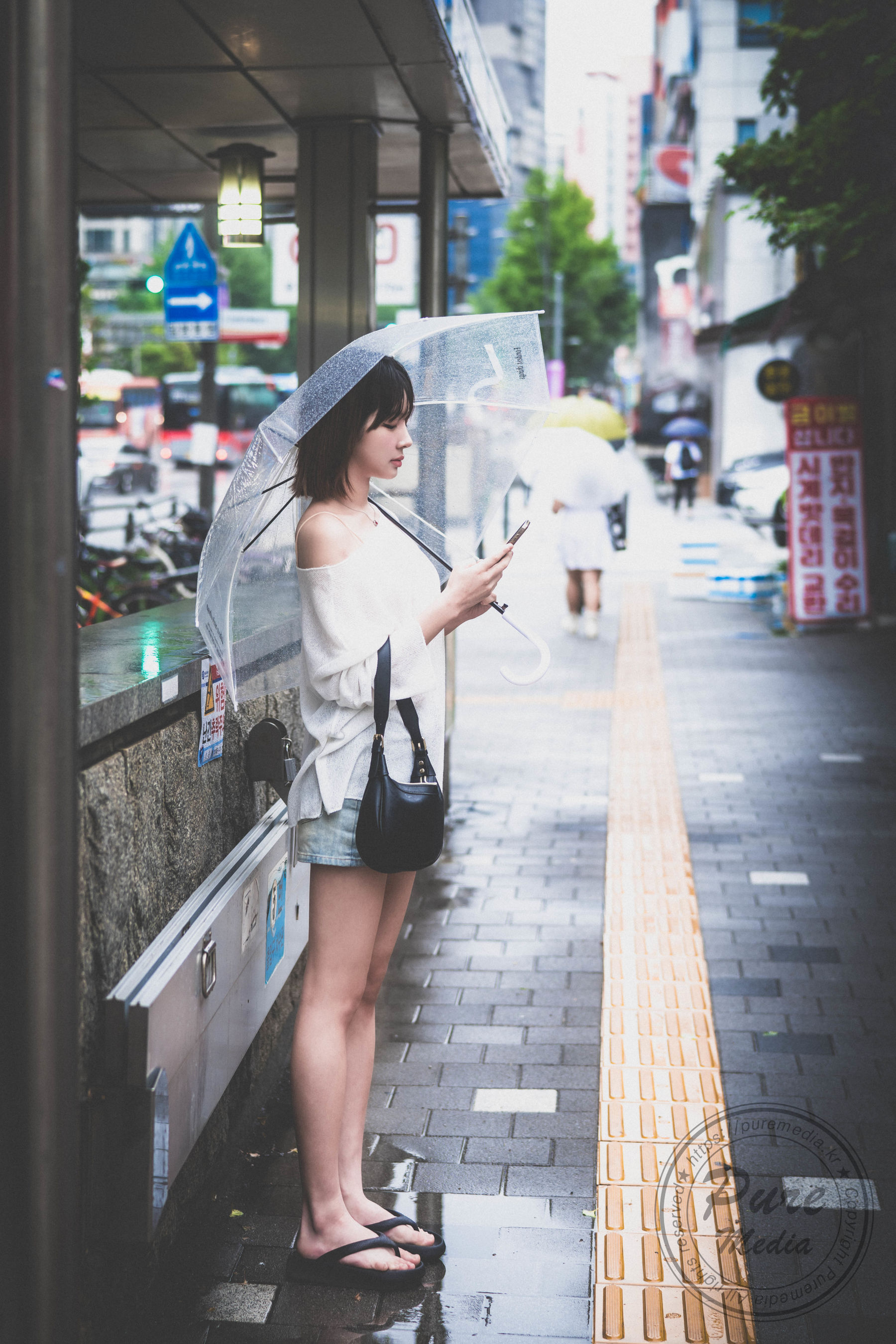 [PURE MEDIA] Vol.299 - Tasha – 套图在线